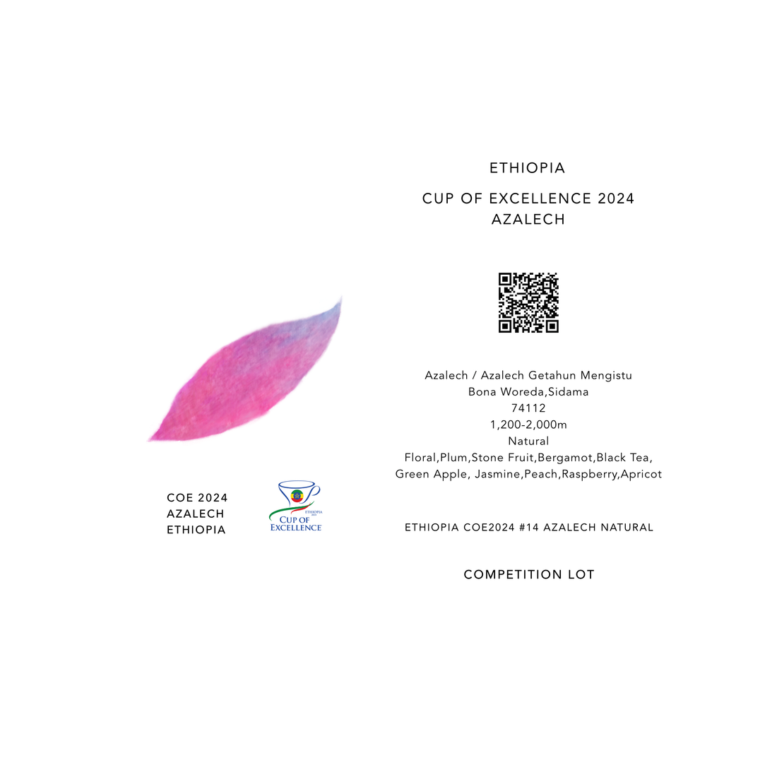 ETHIOPIA COE2024 #14 AZALECH NATURAL |エチオピア COE 2024 #14 アザレチ ナチュラル ...