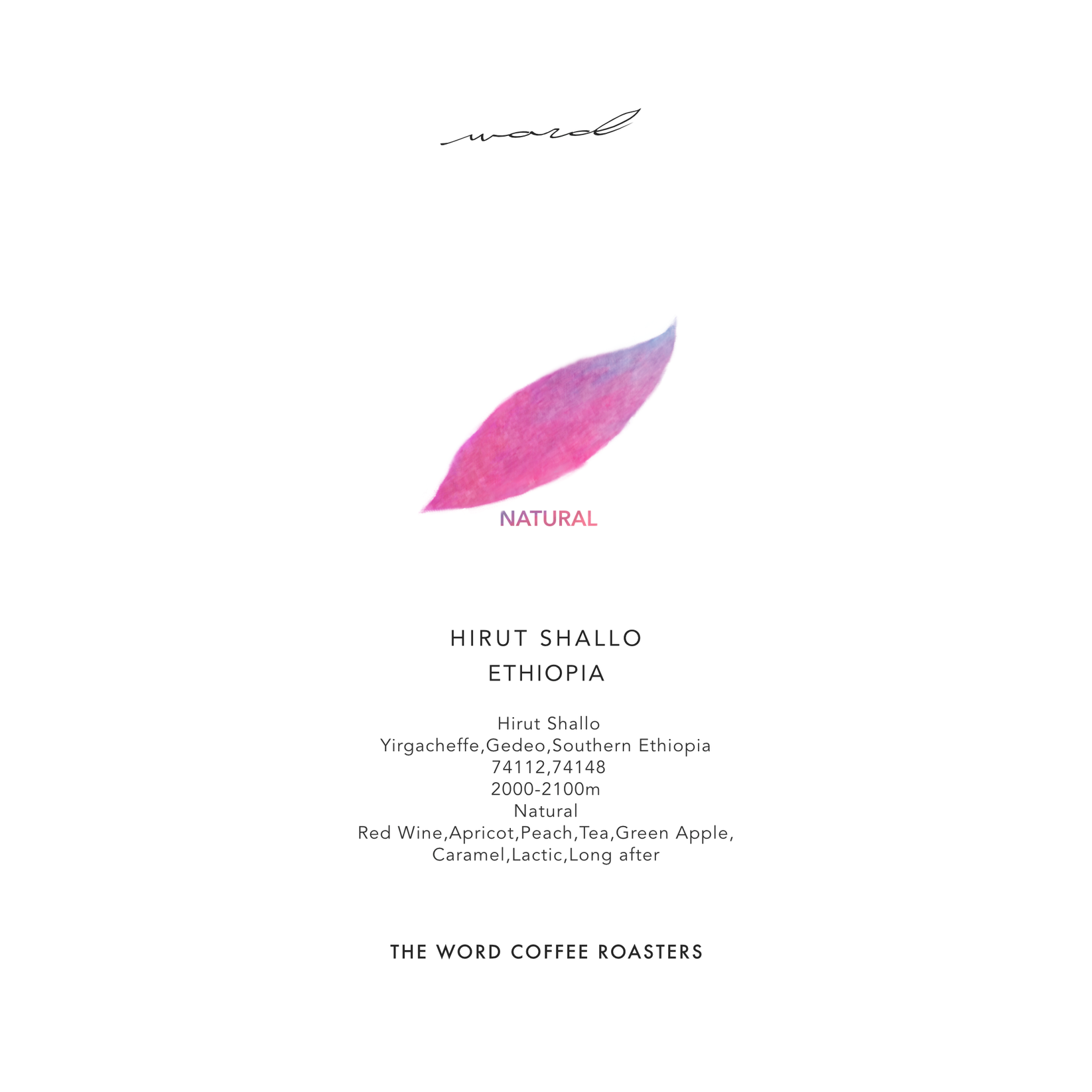 ETHIOPIA YIRGACHEFFE G1 HIRUT SHALLO NATURAL|エチオピア イルガチェフェ G1 ヒルト・シャロ ...